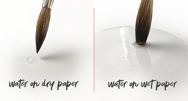 Watercolor wet on wet vs wet on dry – tutorial, tips & tricks ...